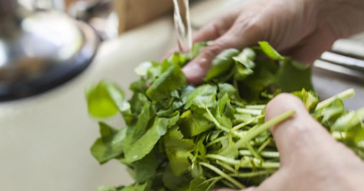 Straffe groene blaadjes | Streekproduct.be